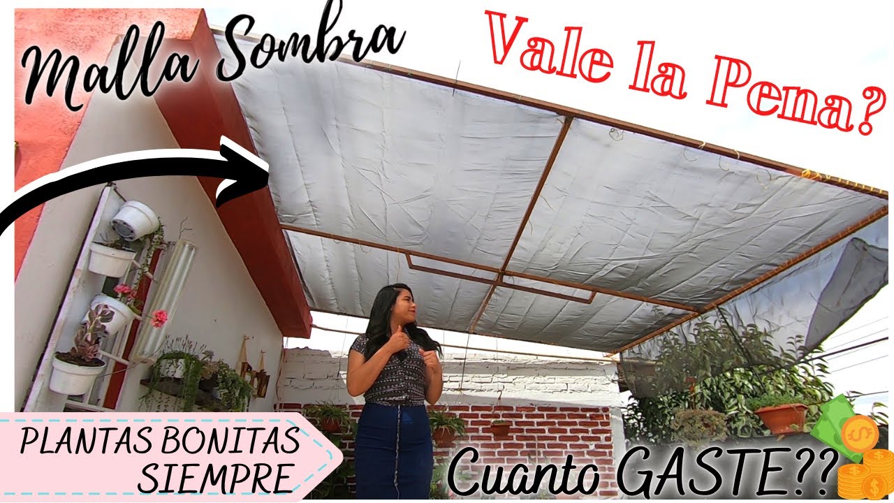 MALLA SOMBRA PARA EL JARDIN // Se Puede Tener Suculentas? // mi ...