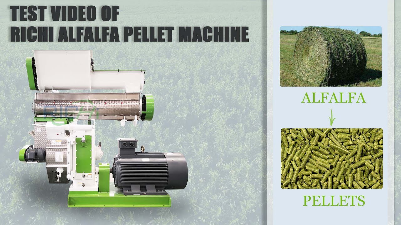 Testing Of Alfalfa Pellet Machine - YouTube