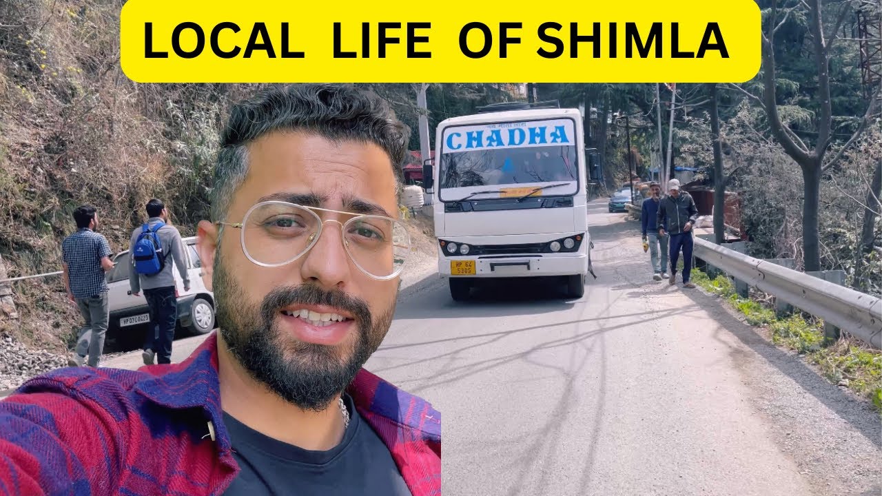 Local Life Of Shimla//Local Bus Mai Travel After So Long //Dadi Is ...