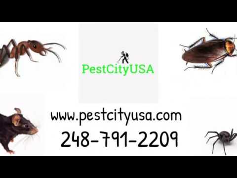 Pest Control Services in Detroit - Offering Safe & Secure Removal of ...