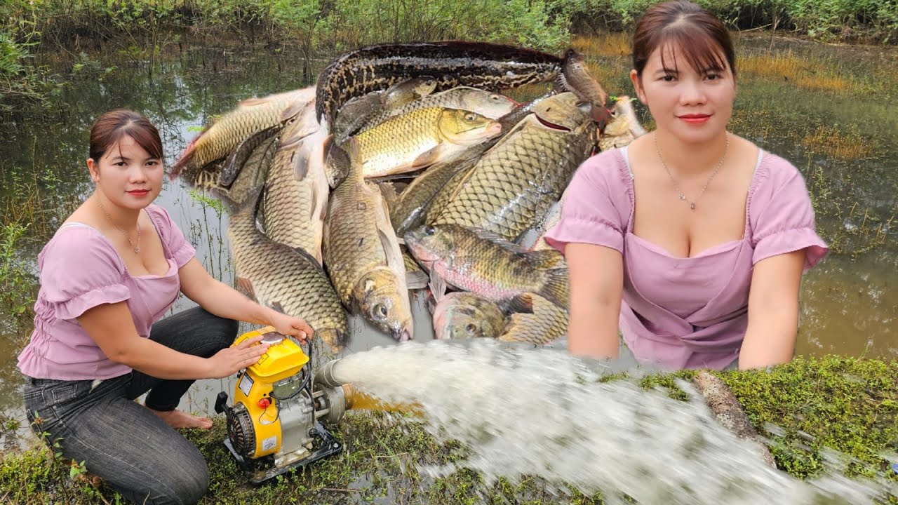 The puddle is full of fish. The girl uses a machine to drain the water ...