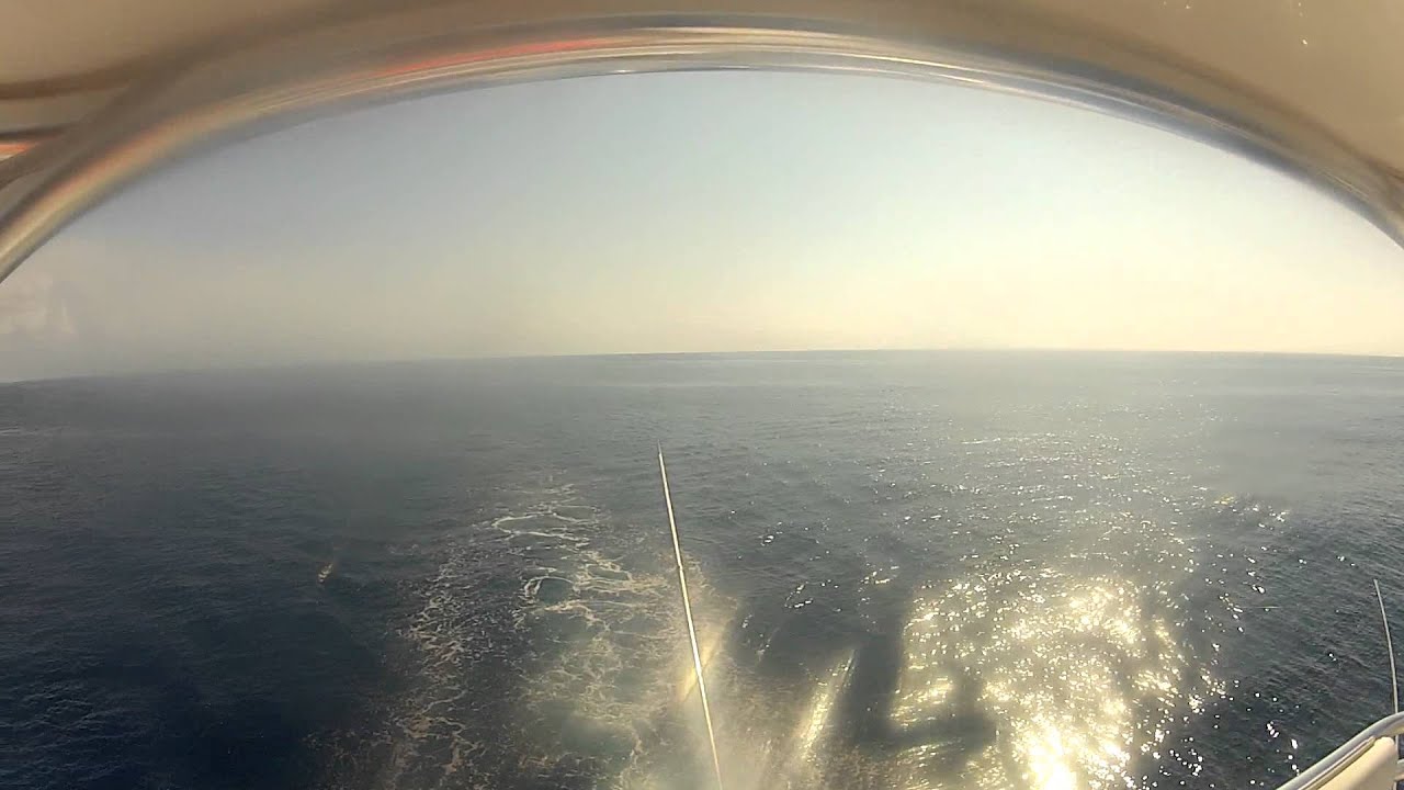 View from the Tuna Tower - YouTube