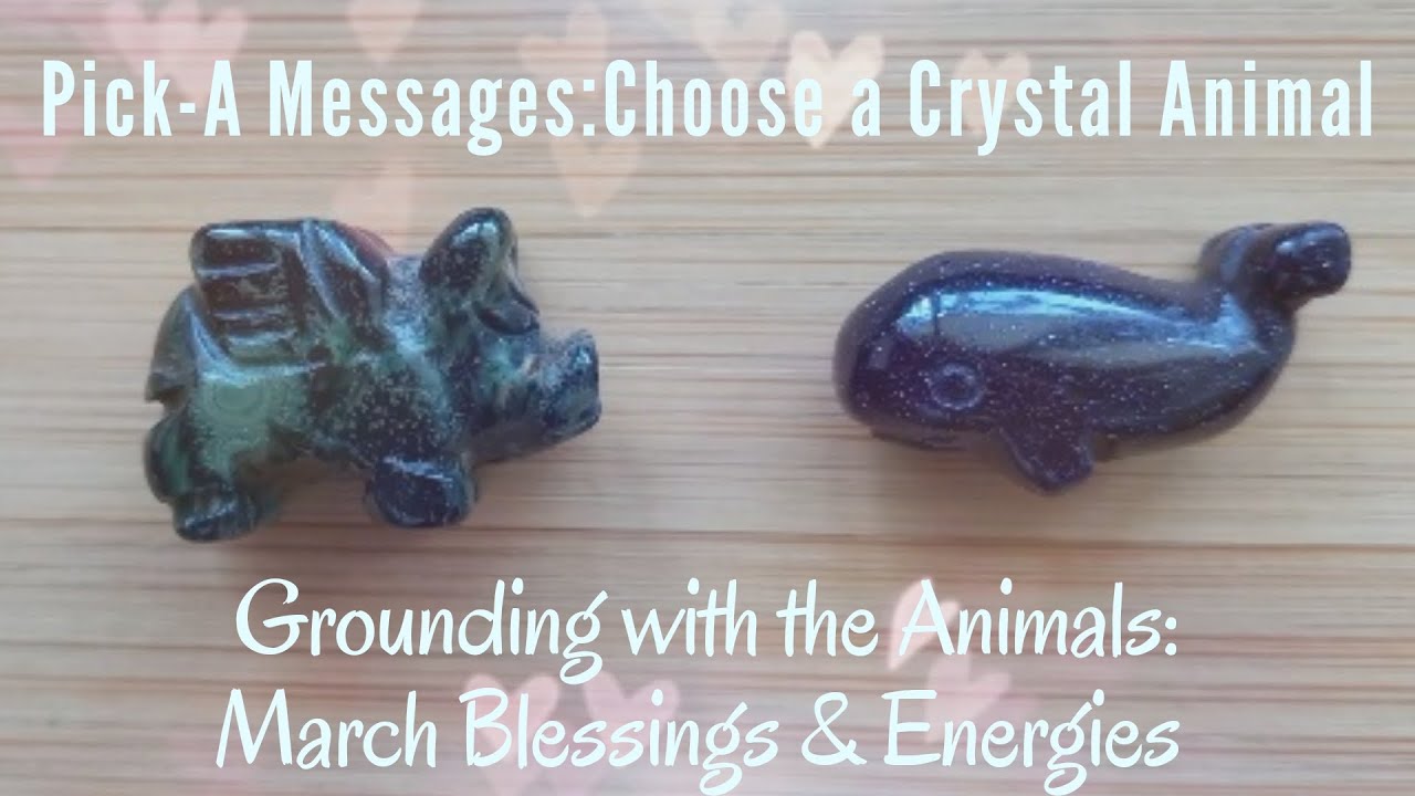 Pick A Crystal Animal ~ Grounding with the Animals: March Blessings ...