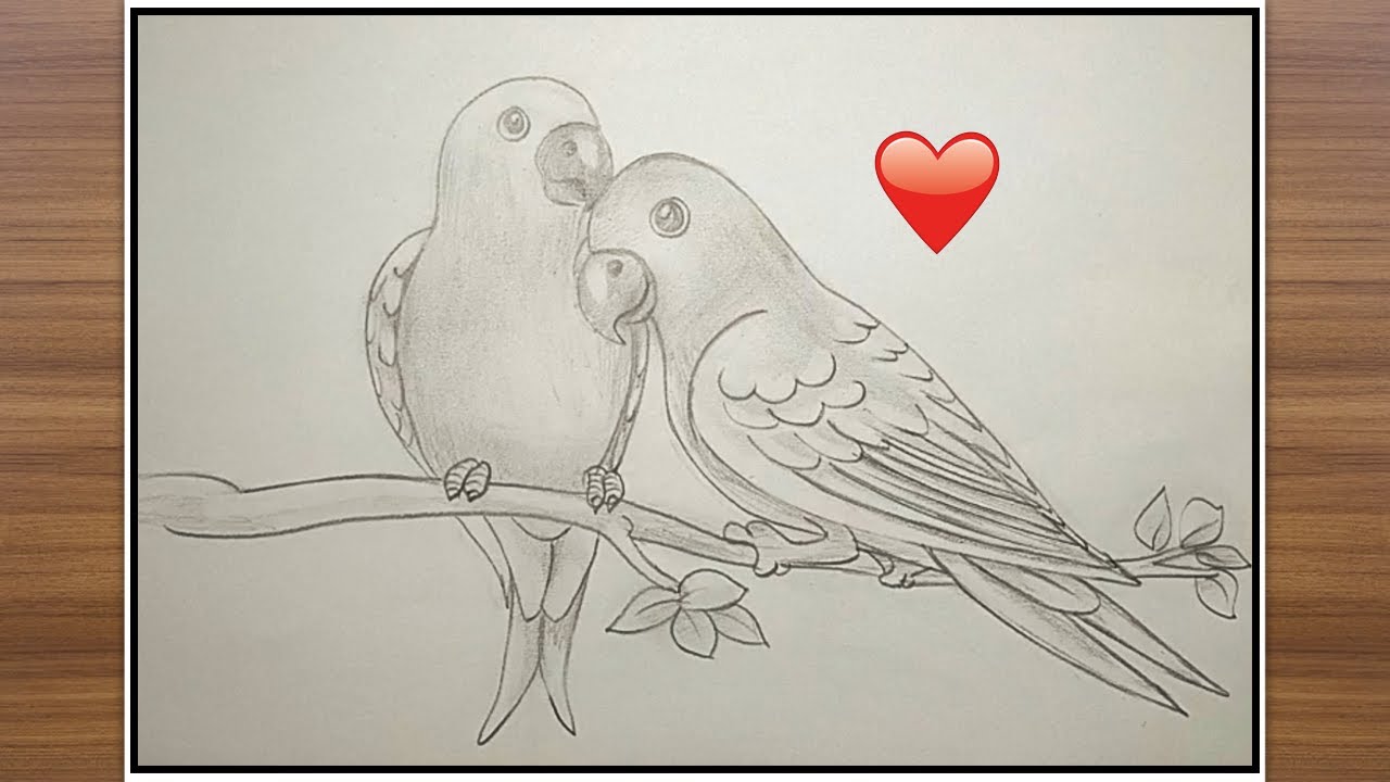Two Parrots in love pencil sketch | Valentine Day Drawing | Cute Love ...