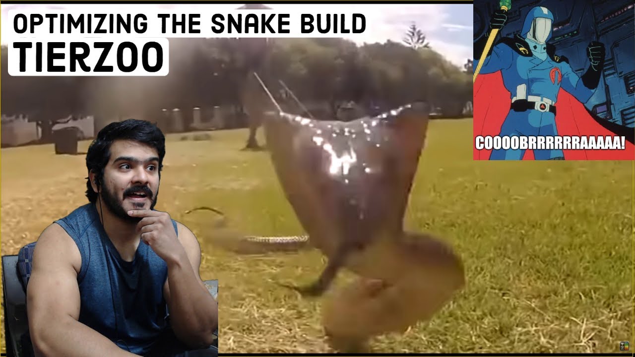Optimizing the Snake Build (TierZoo) CG Reaction - YouTube