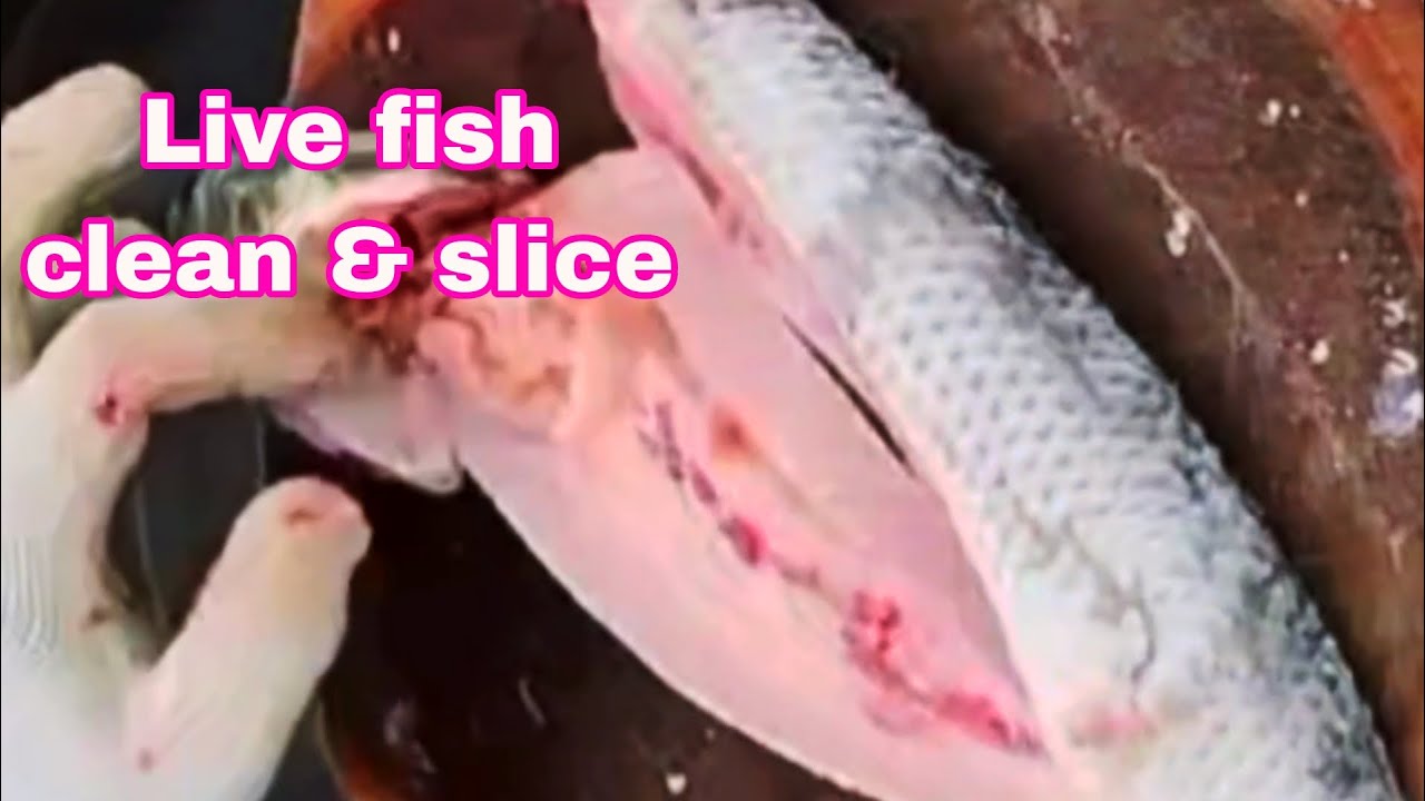 How clean and cut fish / Butcher fish - YouTube