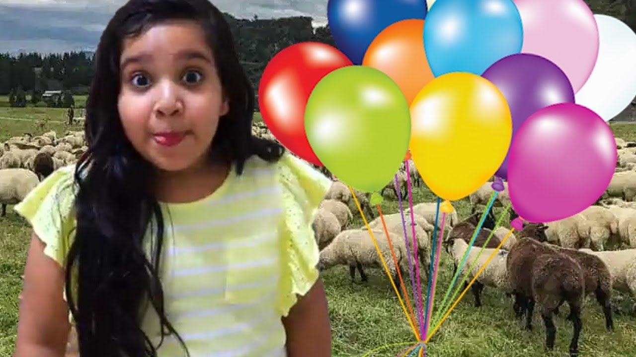 شفا اشترت مزرعة في عيد الاضحى 😲😍 Eid Shfa Sheep - YouTube