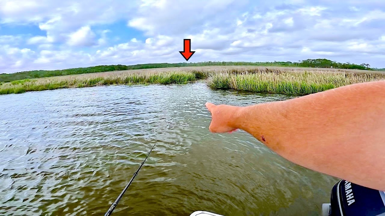 Catch MORE! Saltwater Fish Using THIS Technique! *EASY Fishing* - YouTube