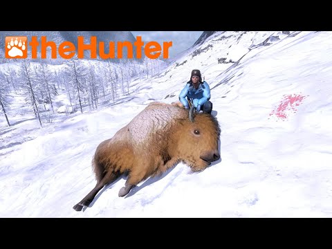 The Hunter Classic: Rare Animals #12 Whiterime Ridge - Bisonte ...