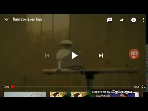 İlahi söyleyen kuş