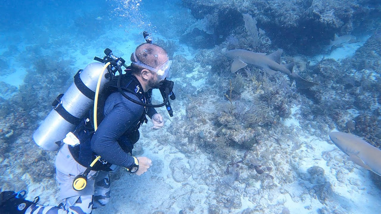 Islamorada critter feed dive with Captain Slate's Scuba Adventures ...
