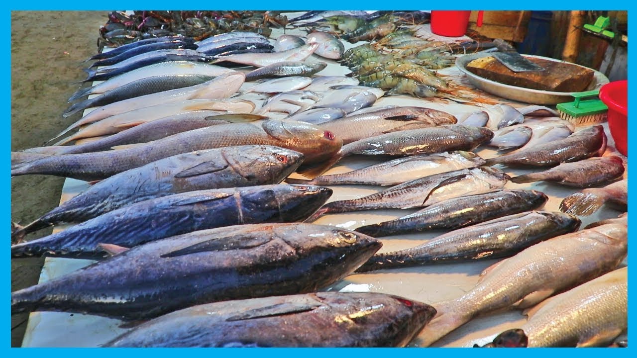 Sea Fish Food in Kuakata Sea Beach (Part 3) | Fish Corn - YouTube