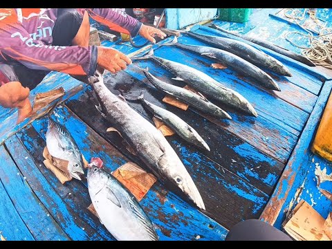 MANCING TENGGIRI MUSIM BARATAN DI KEPULAUAN SERIBU !!! - YouTube