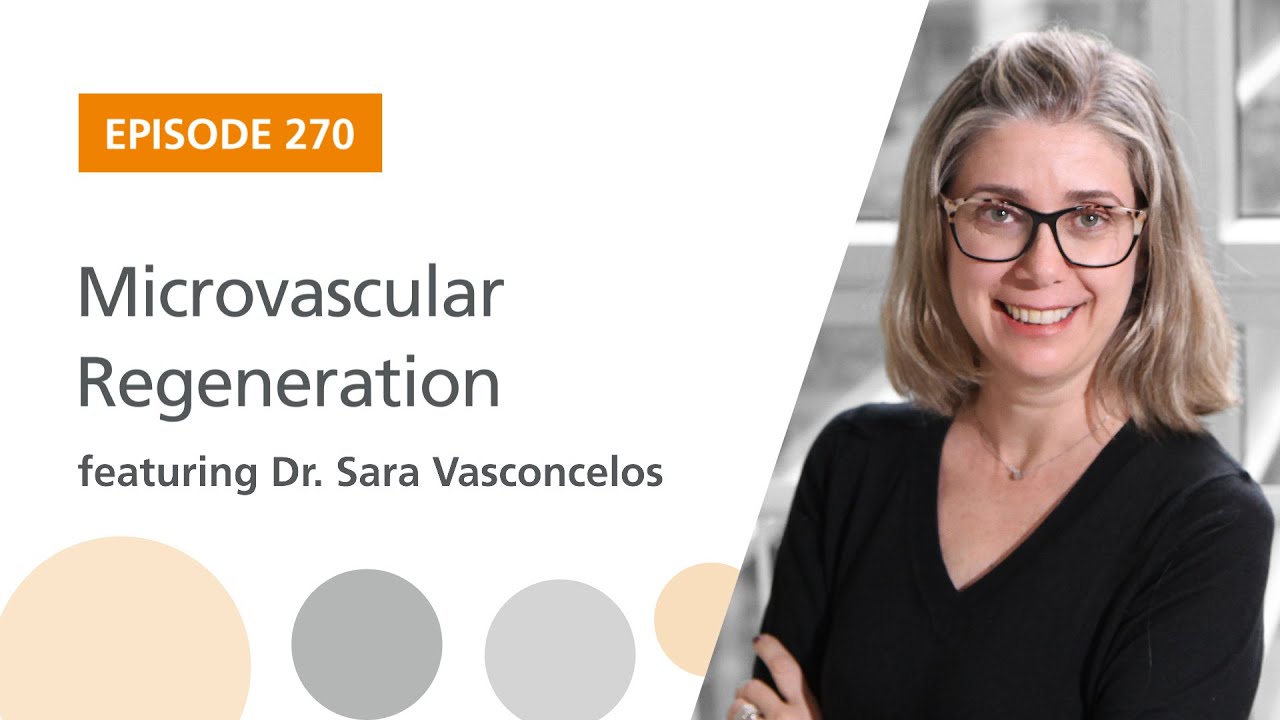 Microvascular Regeneration featuring Dr. Sara Vasconcelos | The Stem Cell Podcast - YouTube