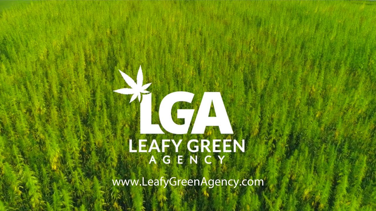 What is Leafy Green Agency? - YouTube