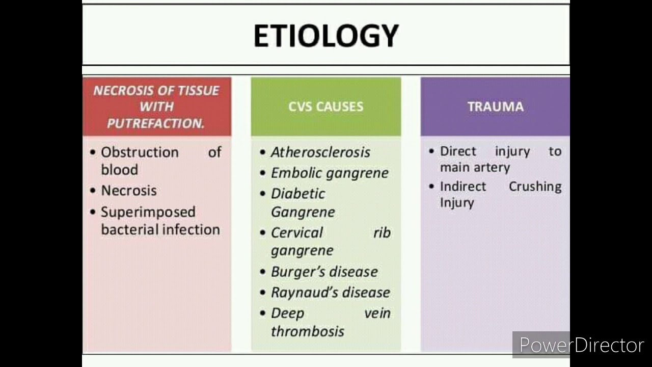 Gangrene ppt/ what is gangrene, cause, pathology, type, clinical ...
