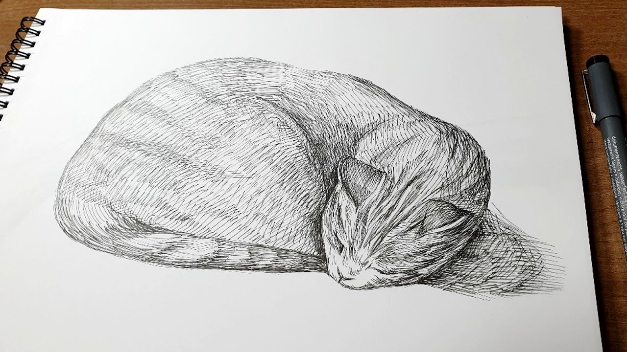 Drawing sleeping cat with fineliner - drawing sounds - YouTube