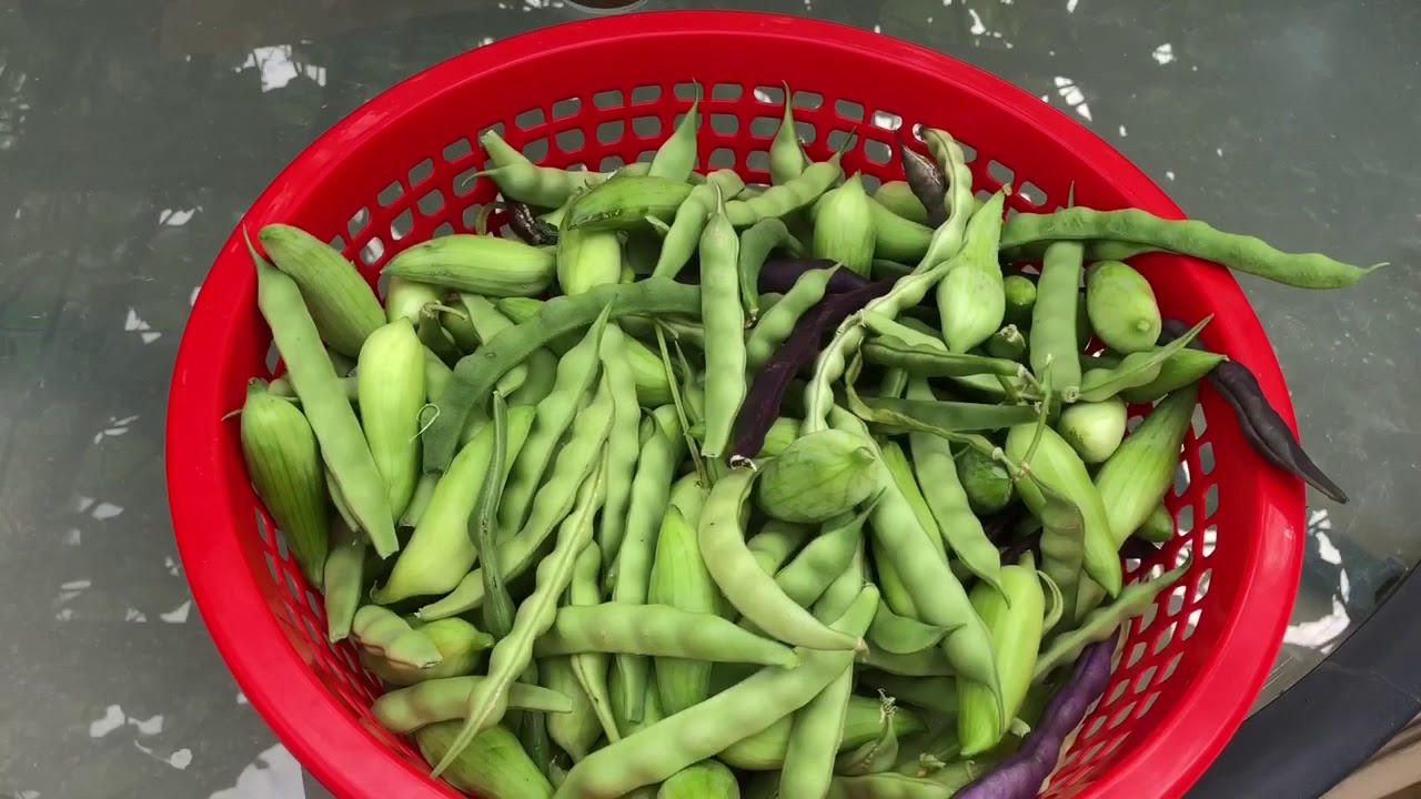 EP02 Exotic Bangladeshi Vegetable Gardens in London | Shokher Bagan ...