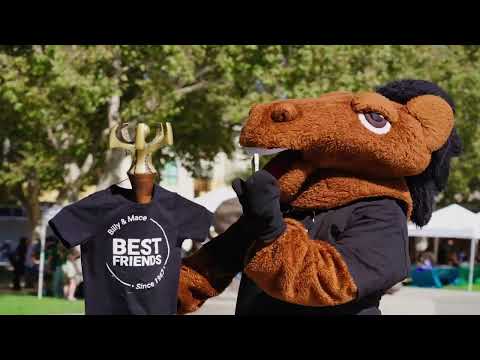 What Is The Mascot For Cal Poly Pomona
