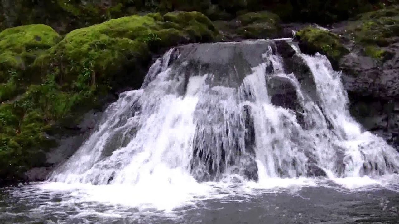Arbirlot Falls in Angus Scotland 3/4/15 - YouTube