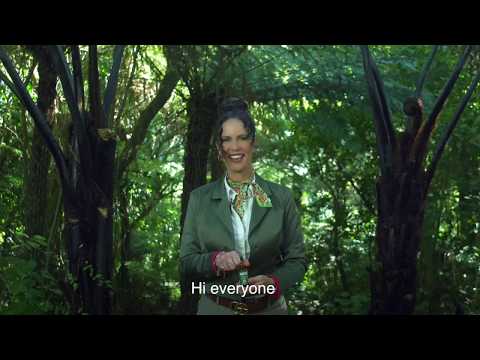 How Mamaku black fern works