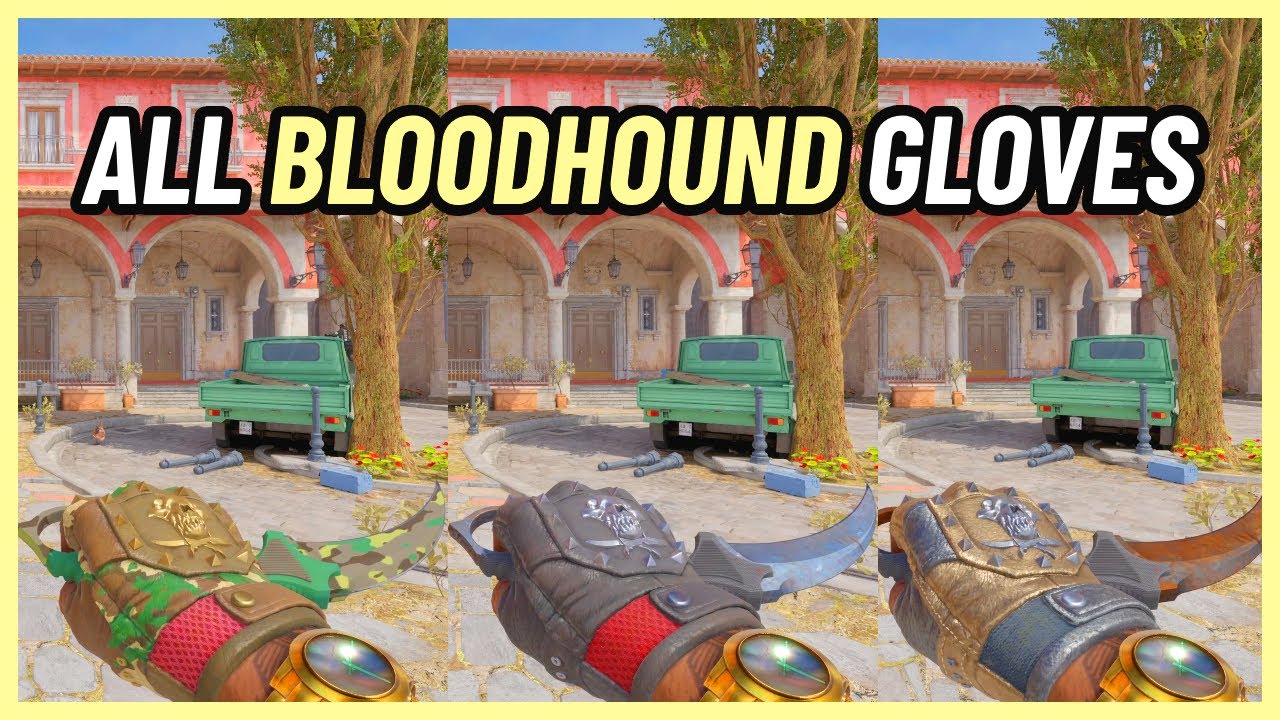 CS2 ALL Bloodhound Gloves | In-Game Showcase [4K] - YouTube