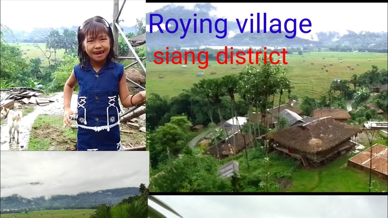 Roying village / one of the beautiful village of / Siang district ...