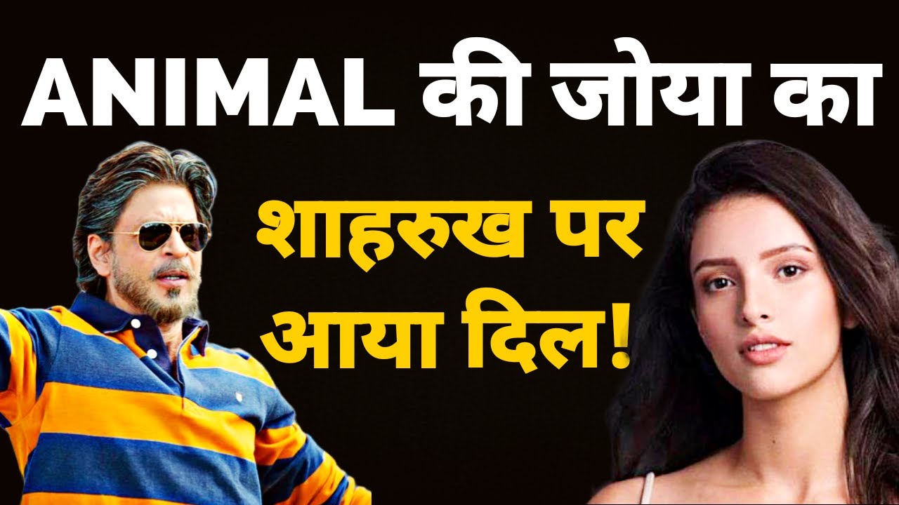 Animal की Joya हुई Shahrukh Khan पर लट्टू! | Tripti Dimri talked On Srk ...