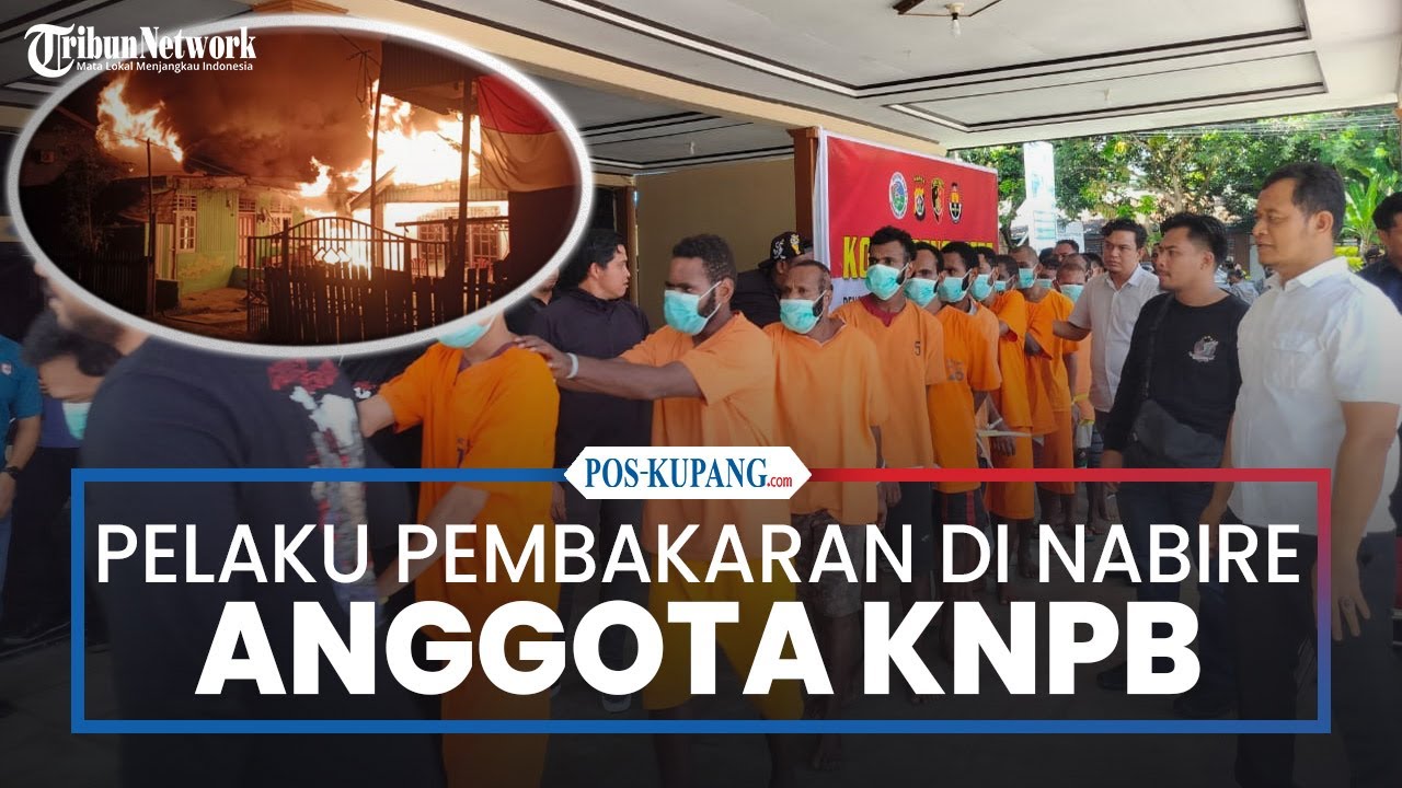 Pelaku Pembakaran Bangunan di Nabire adalah Anggota KNPB - YouTube