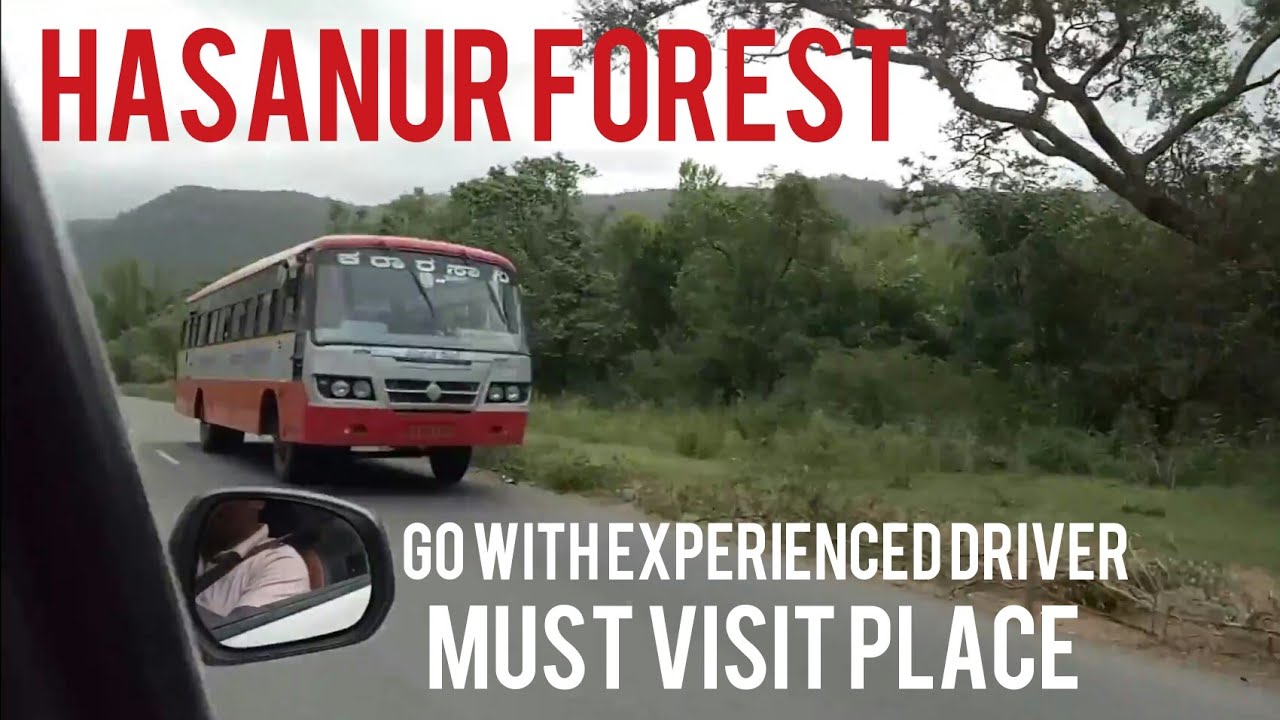 Hasanur | Forest view | TamilNadu | Travel Vlog | Car Vlog - YouTube
