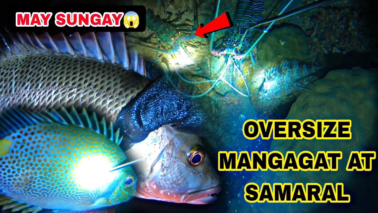 NIGHT SPEARFISHING PHILIPPINES | FIRST TIME KONG MAKAHULI NG GANITO ...