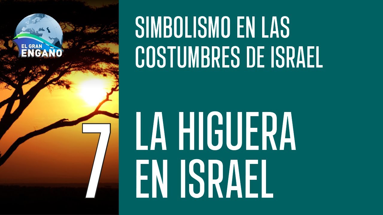 07 - La higuera en Israel (Simbolismos en las costumbres de Israel ...