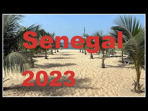 Jacob a Senegal (Hotel,Safari,Dakar) 2023 - YouTube