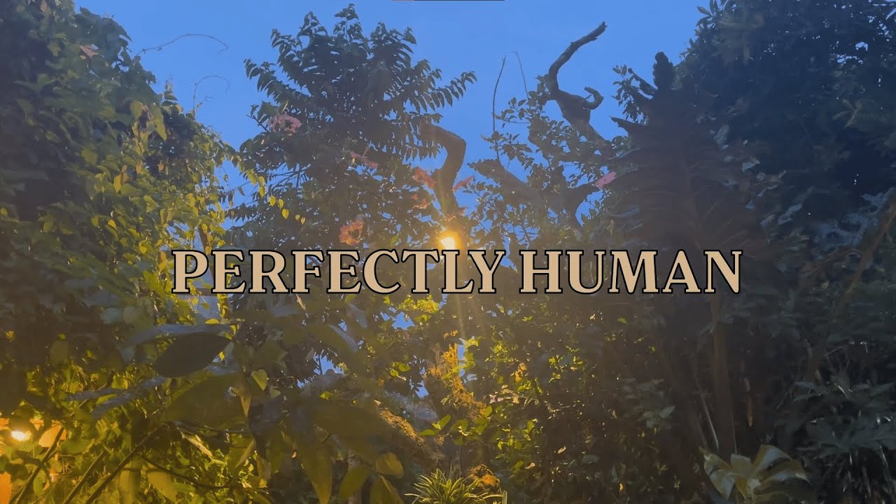 Perfectly Human - YouTube