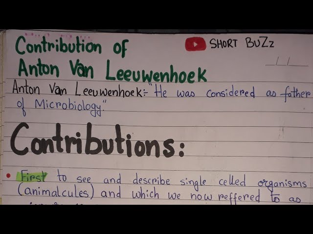 Anton Van Leeuwenhoek Animalcules