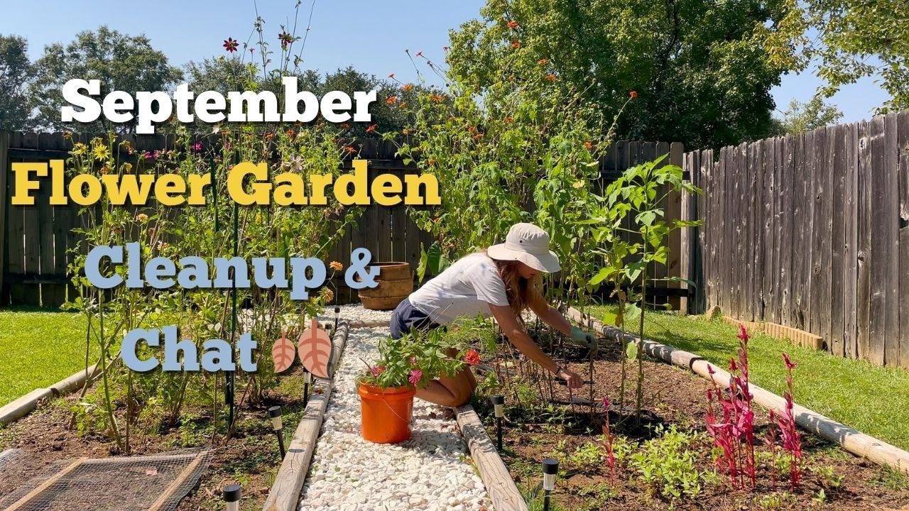 September Flower Garden Prep 🍂 | Fall Garden Cleanup, Calendula and ...