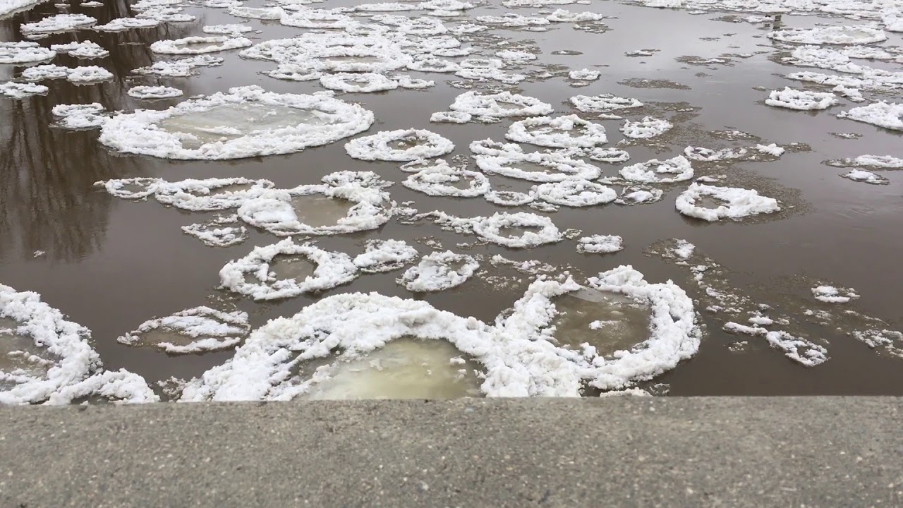 Manitoba “Ice Lilies” - YouTube