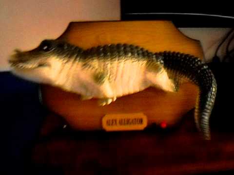 alex alligator (SINGING ALLIGATOR) - YouTube