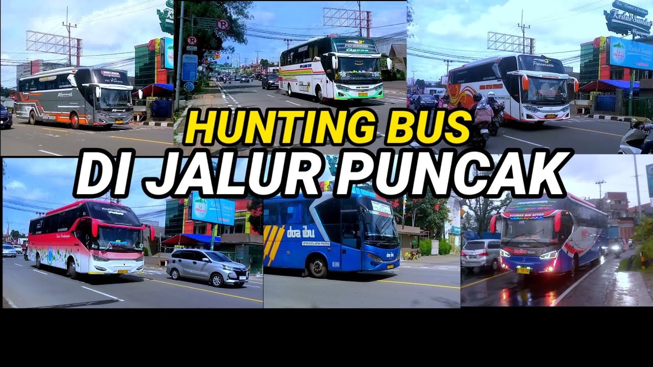 Hunting Bus Di Jalur Puncak - YouTube