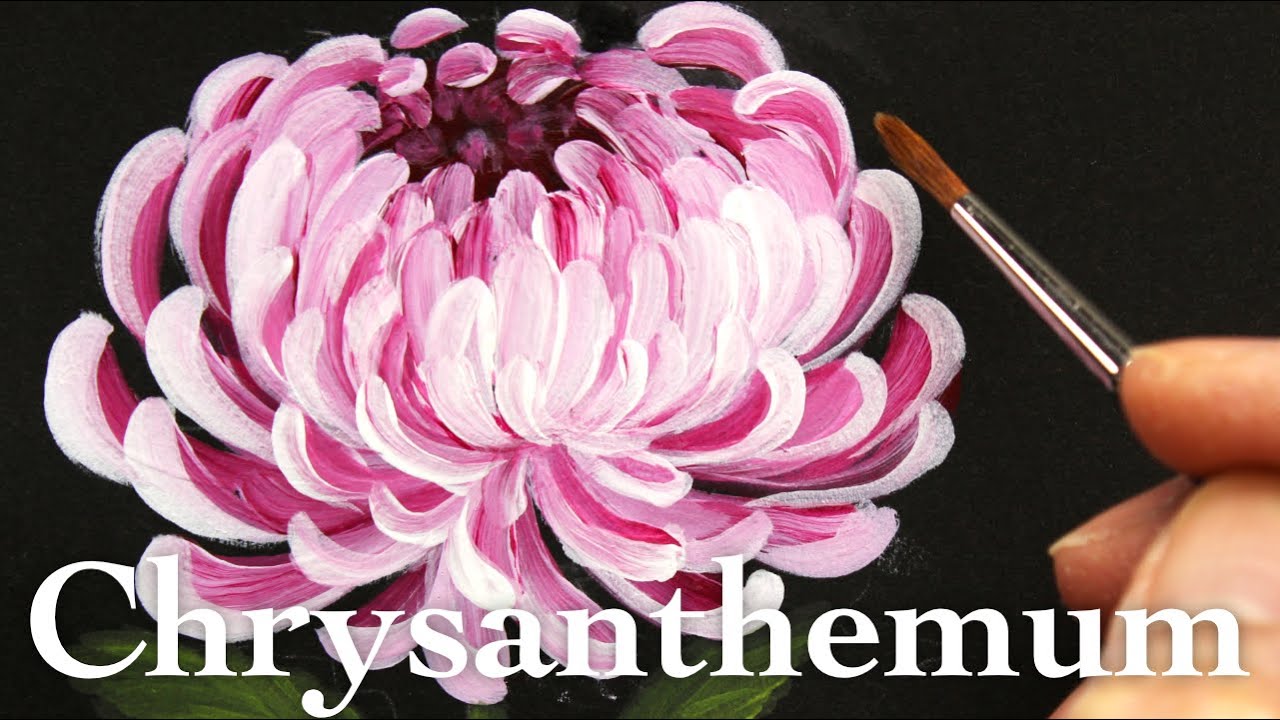 Chrysanthemum Painting With Acrylic Pink 4 Minutes YouTube