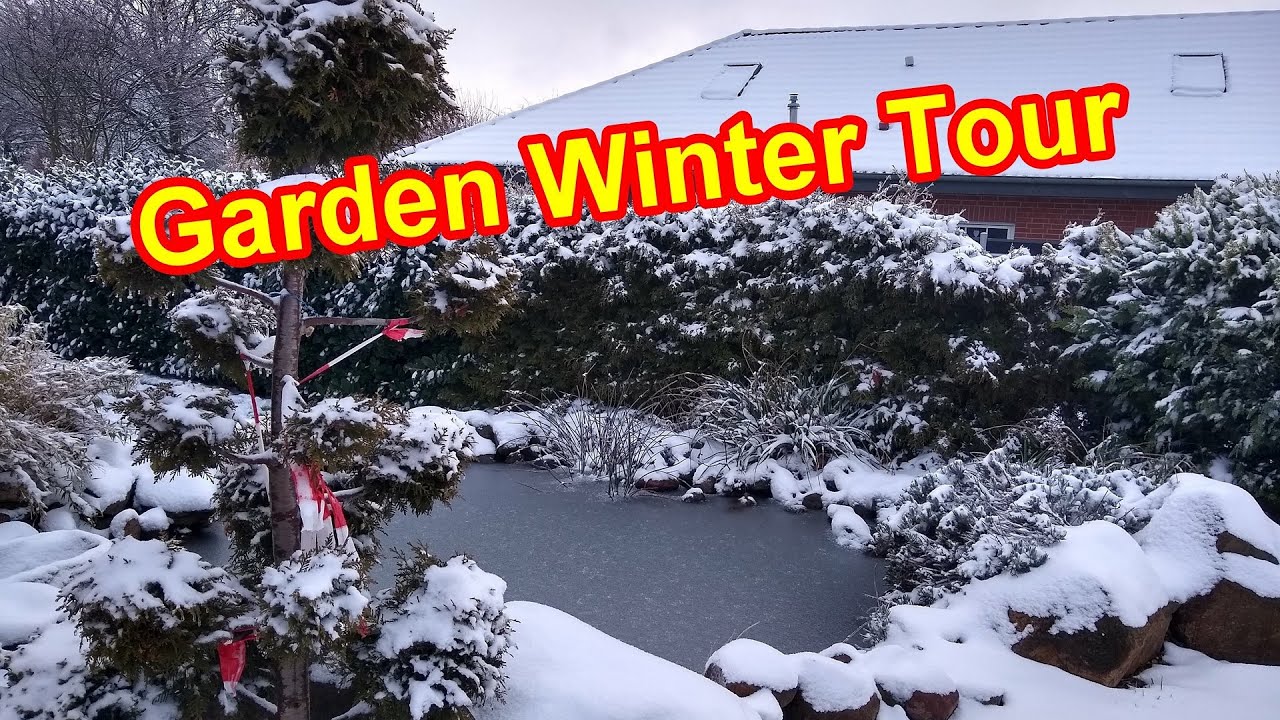Winter Garden Tour in January - - YouTube