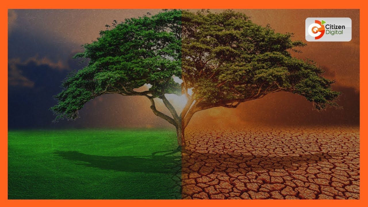 | CITIZEN PLANET | Kenya hosts Africa Climate Summit | DAY BREAK (Part ...