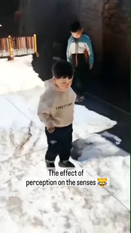 the effect of perception on the sense - YouTube
