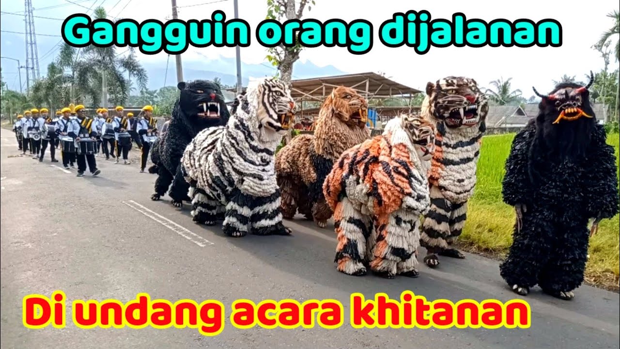 Can macanan Singo Raung cilik Di undang acara khitanan - YouTube
