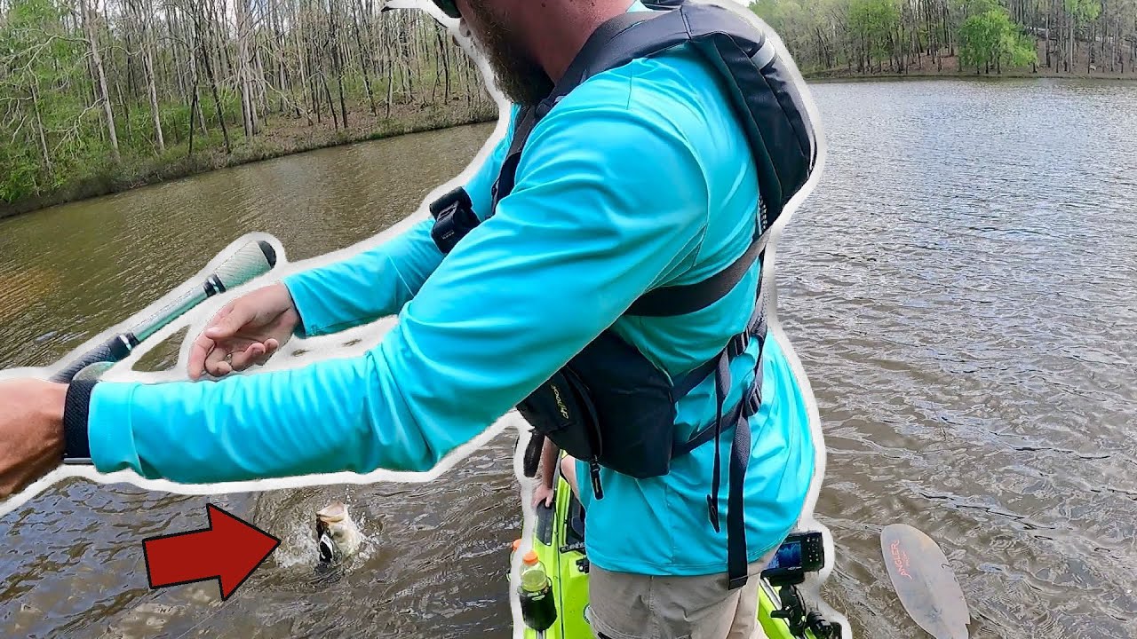 Fishing For GIANT Spawning Bass - YouTube