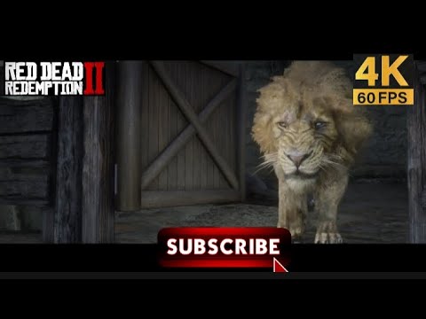 Hunting a Lion - Red Dead Redemption 2 [4K 60FPS] - YouTube