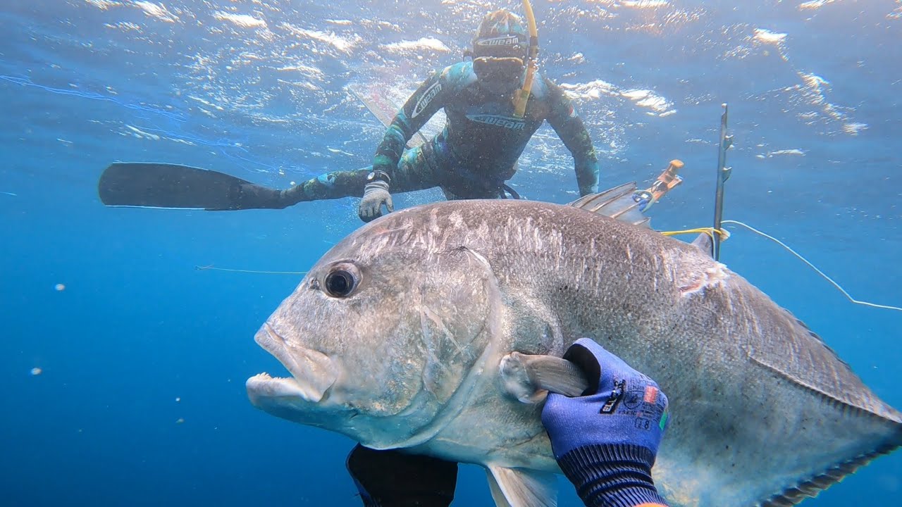 Shoot the big gt fish that fight || Spearfishing Indonesia - YouTube