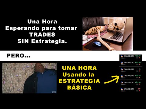 Ejemplos de Formularios: Inspírate con estas ideas creativas