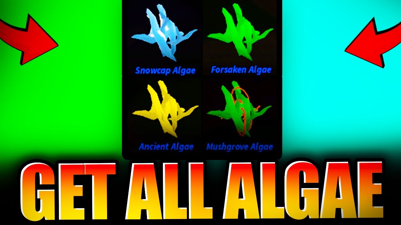 ALGAE - BEST METHOD - HOW TO GET [FISCH] - ROBLOX 2025 - YouTube