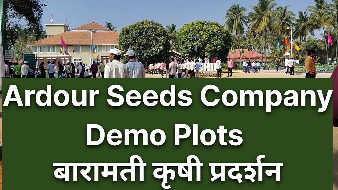 Ardour Seeds Company Demo Plots कृषी प्रदर्शन बारामती @pramod_s_nikam ...